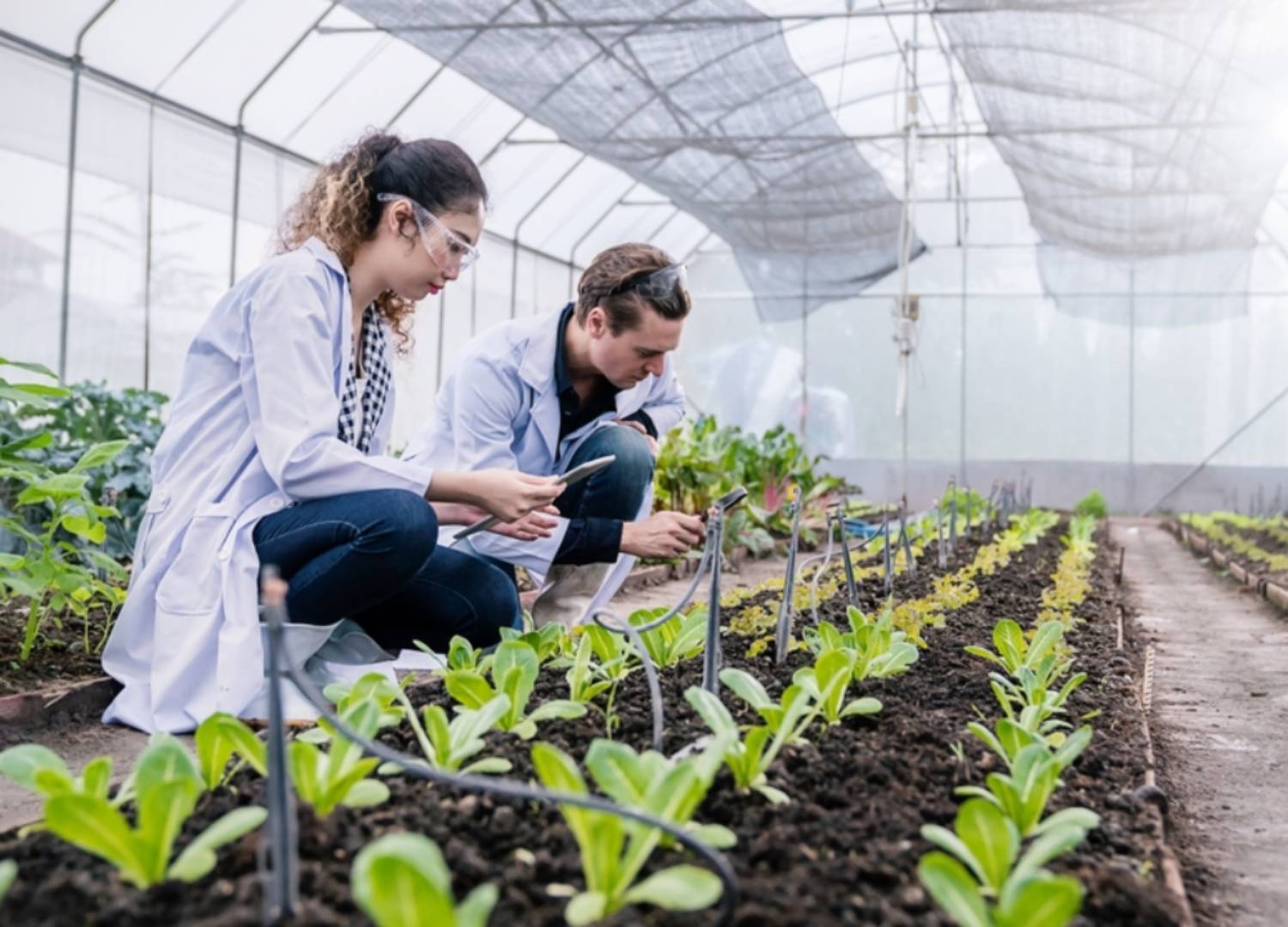 Anasayfa - Topmark Global